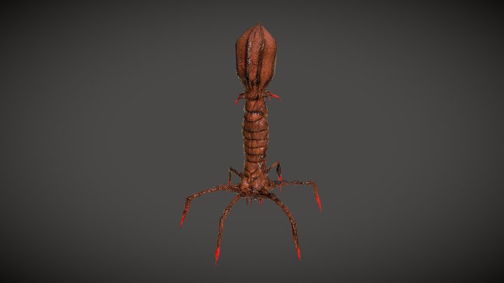 Germ 3D models - Sketchfab