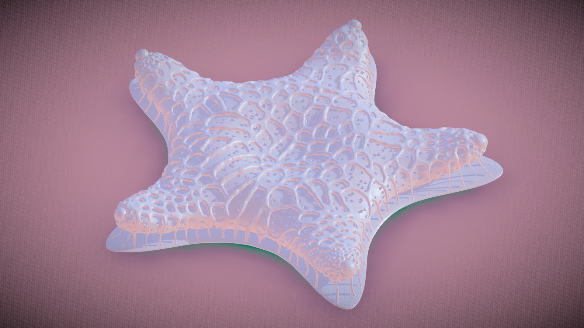Star Diatom - Trigonium Formosum - Buy Royalty Free 3D model by ...