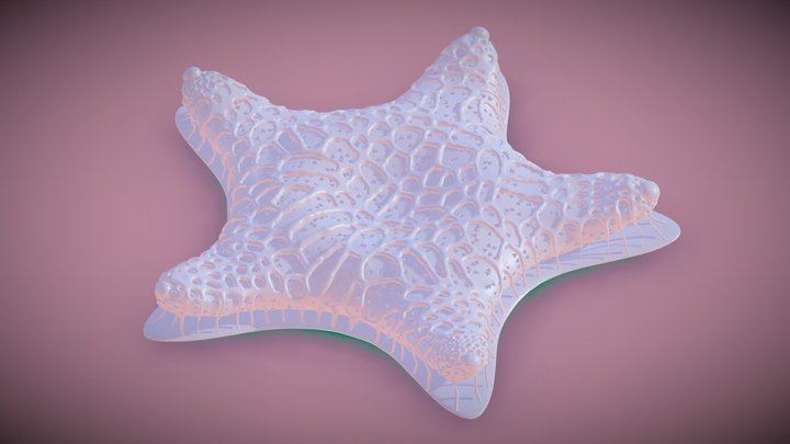 Diatom 3D models - Sketchfab