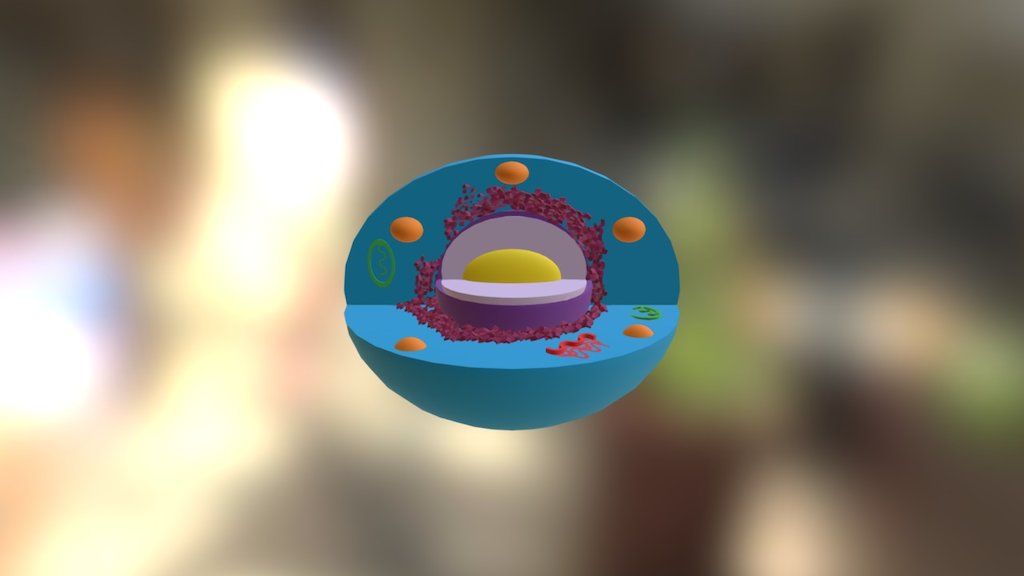 healthy cell - 3D model by 18chloe.b [f133529] - Sketchfab