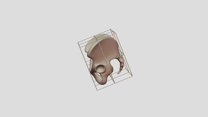 Sina Amiri Sketchfab