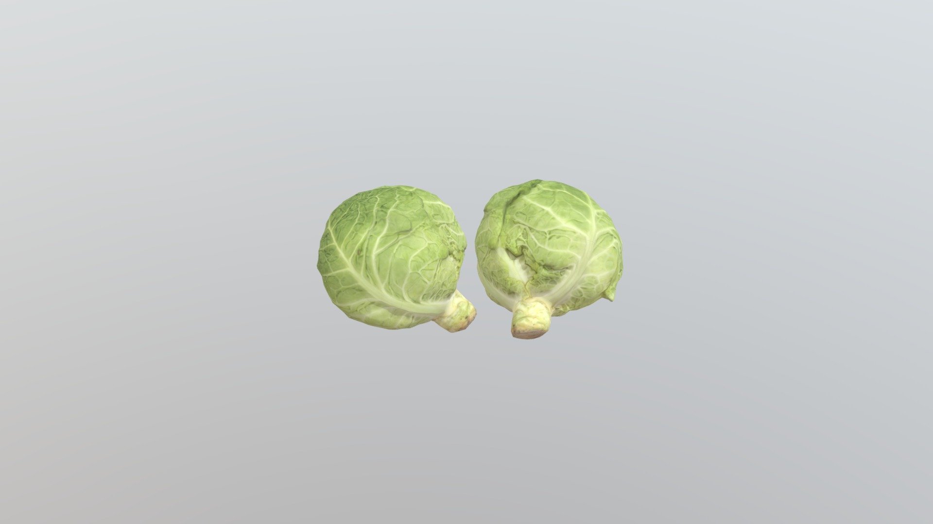 Cabbage Vegetable 3D Model AR VR PBR - 3D model by multicrowstudio ...