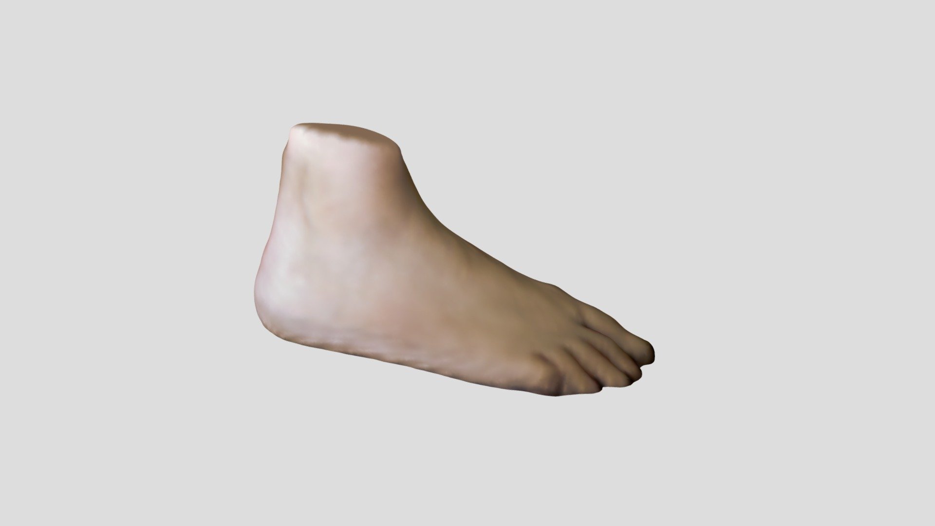 Foot-1 - Download Free 3D model by lumc [f14138f] - Sketchfab