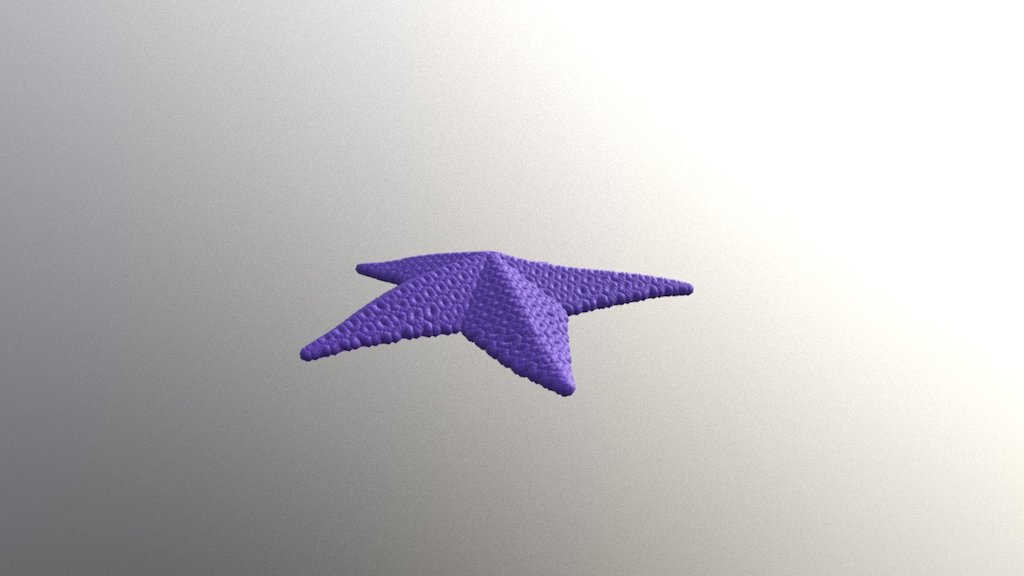 Star - 3D model by Tanya Shkredova (@svyatoisyslik) [f141a44] - Sketchfab