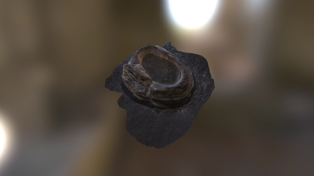 Cave puddle - Download Free 3D model by htownsend [f1466ea] - Sketchfab