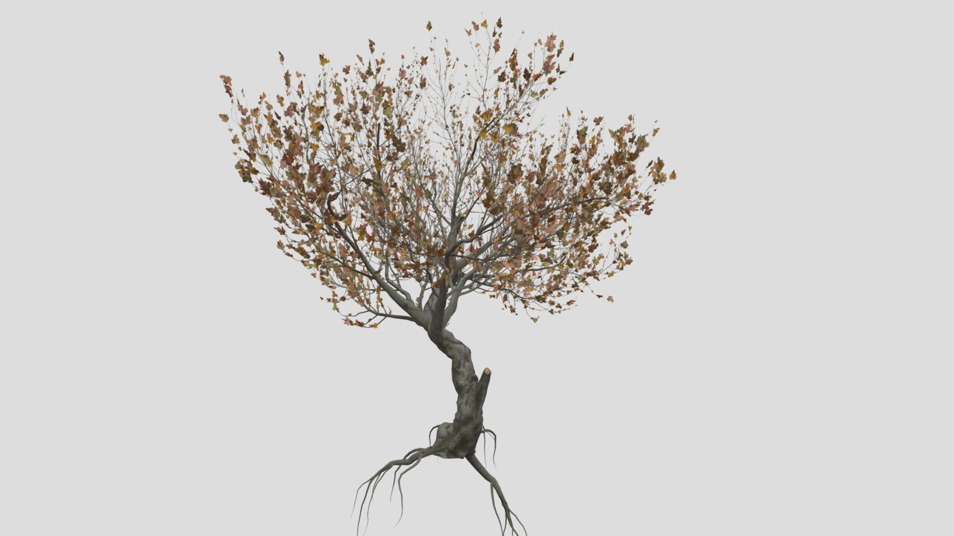 Stylised Tree Red 01 - Download Free 3D model by charles.cla [f15138d ...