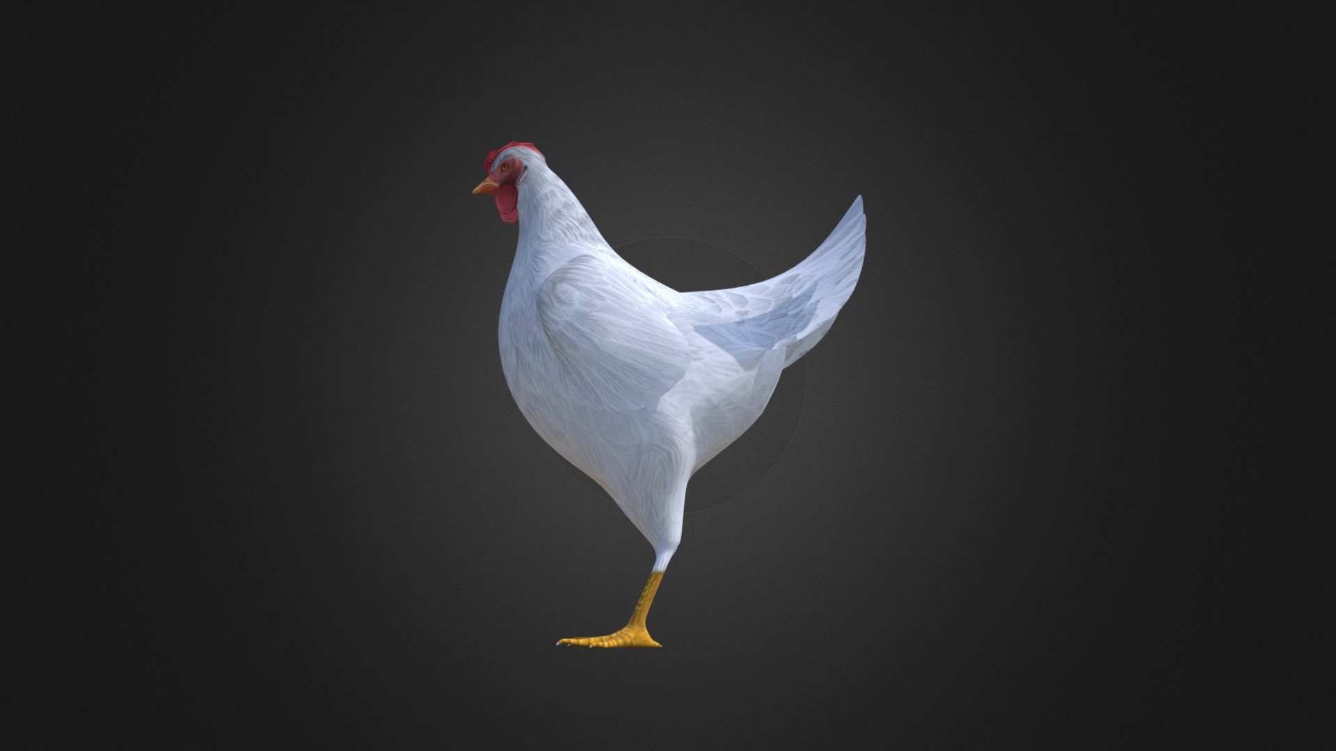 01 Chicken Exterior - 3D model by freo [f155a25] - Sketchfab