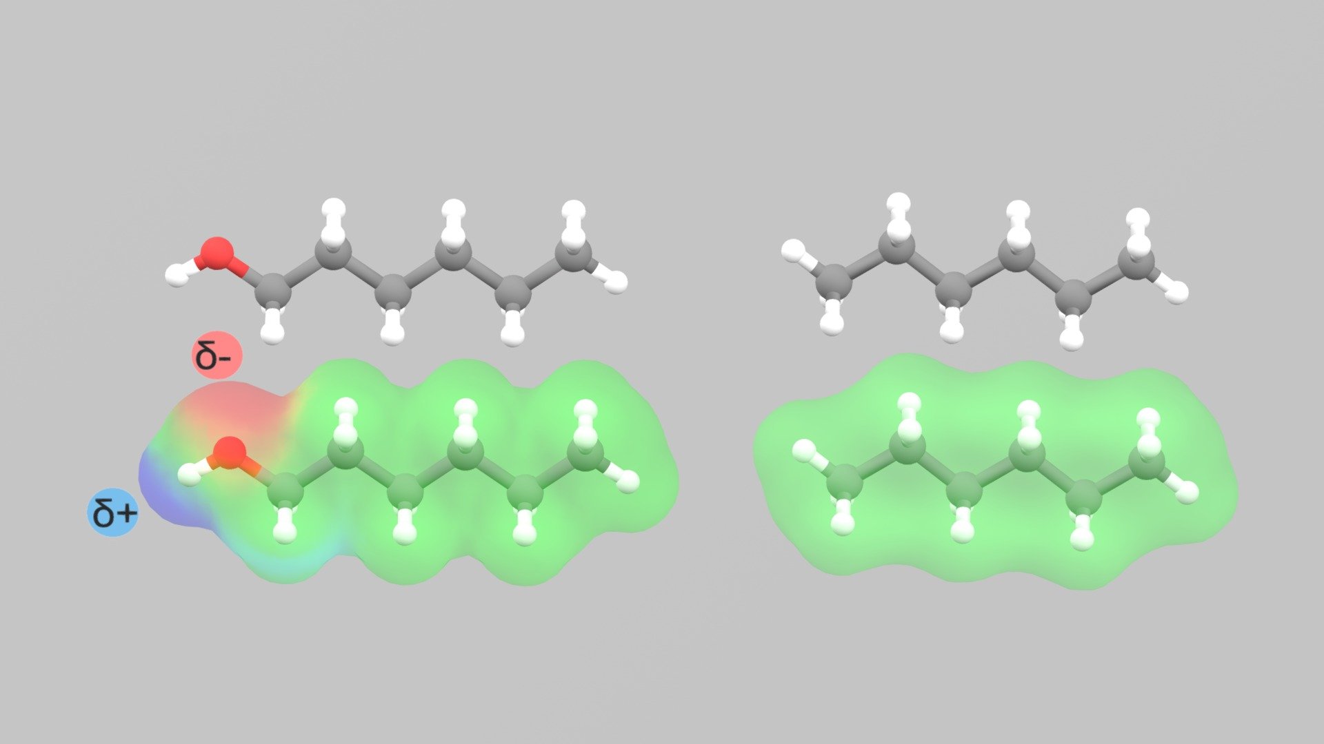 Polarity: Hexanol vs Hexane - Download Free 3D model by Vera4Art ...