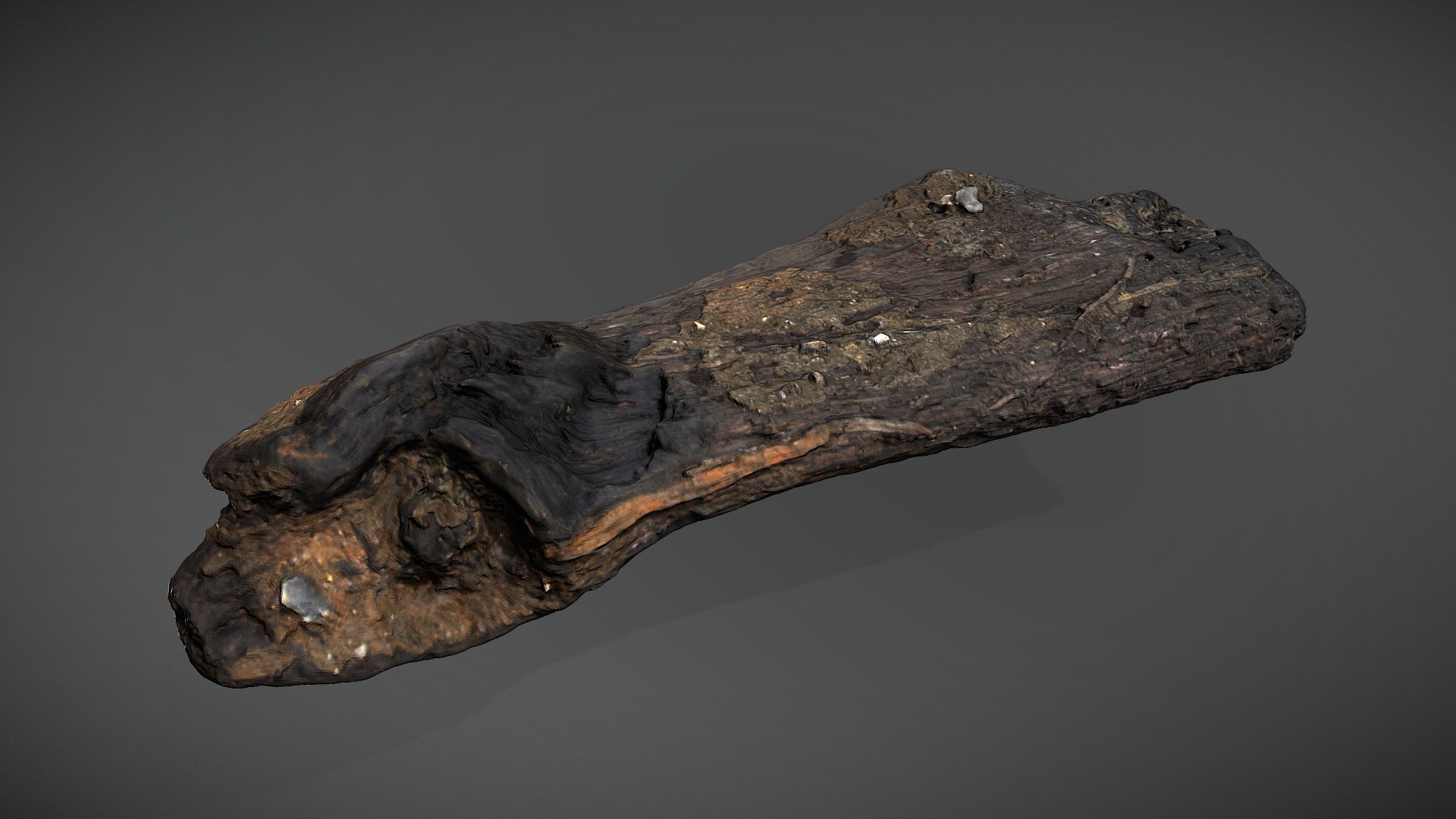 Neolithic timber from Solent shores, UK - 3D model by Maritime ...