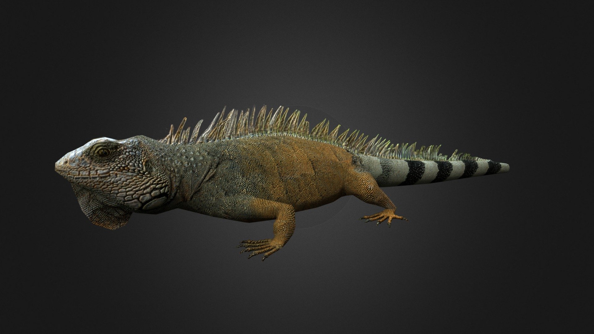 Iguana - 3D model by Ondřej Vališ (@throy) [f1686f7] - Sketchfab