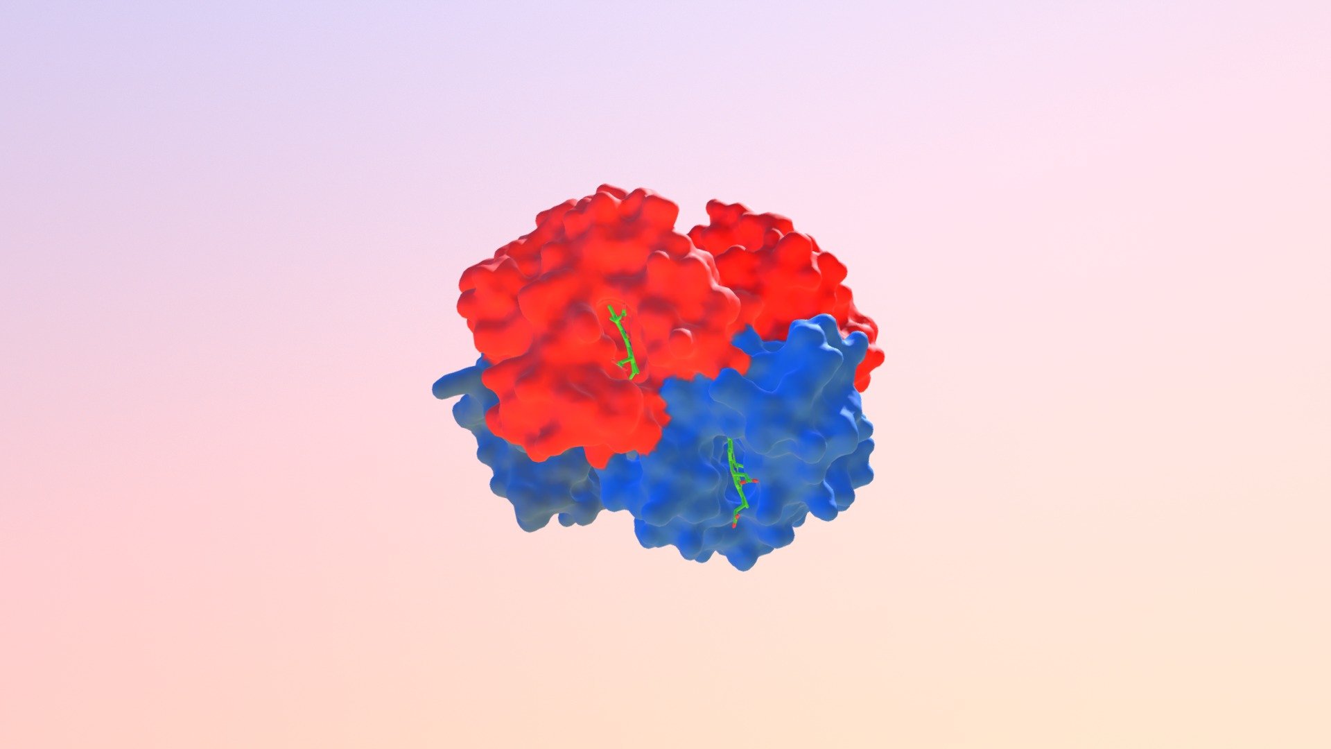 THE CRYSTAL STRUCTURE OF HUMAN DEOXYHAEMOGLOBIN - 3D model by Dominic ...