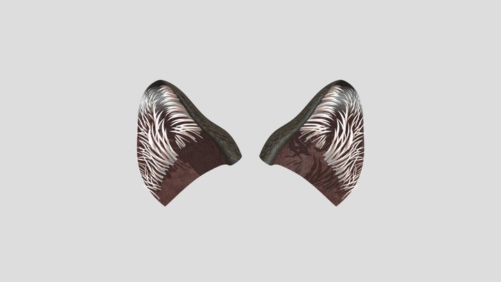 Wolf-ears 3D models - Sketchfab