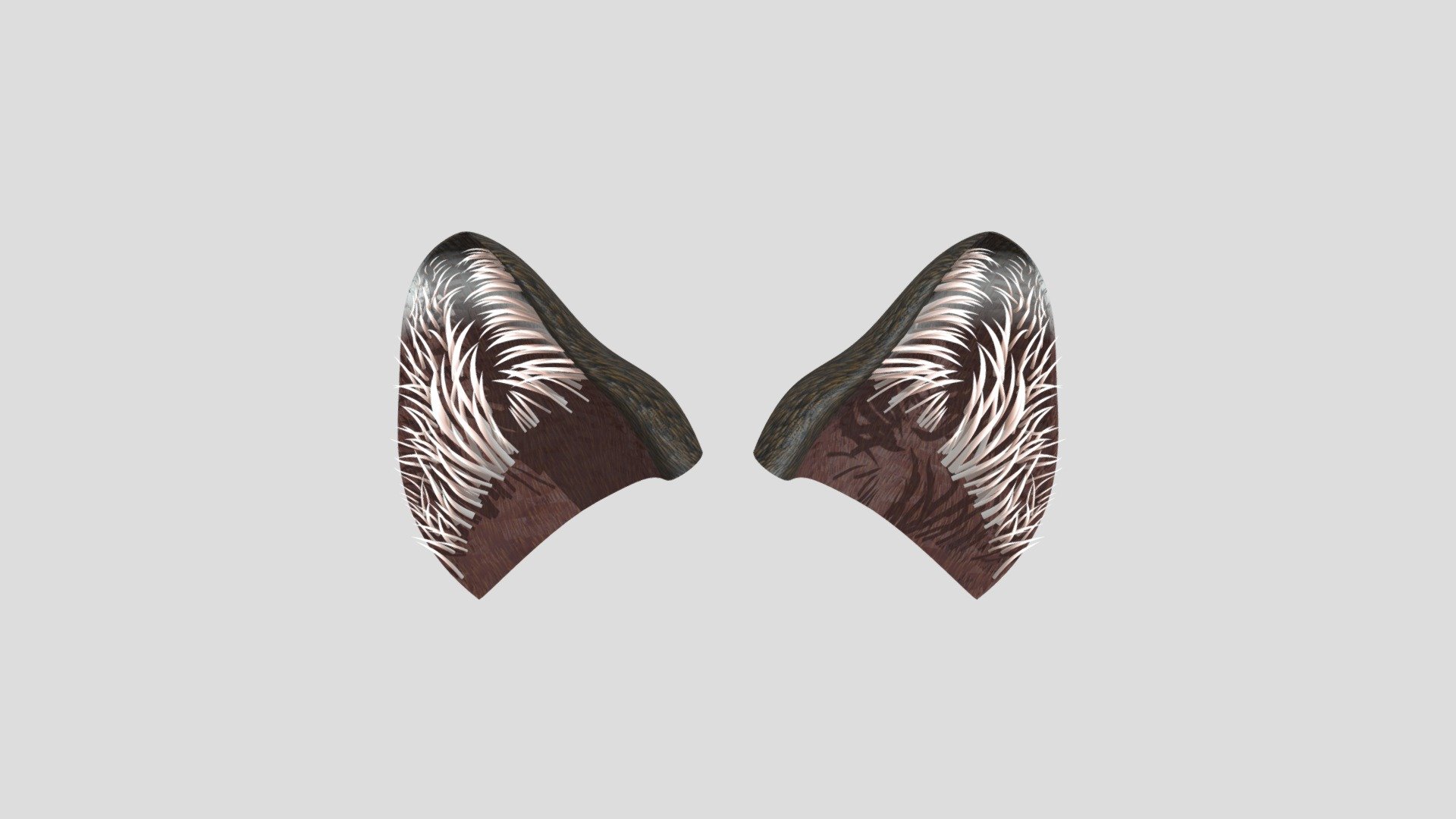 Wolf Ears - 3D model by sparklewolfie [f16fe41] - Sketchfab