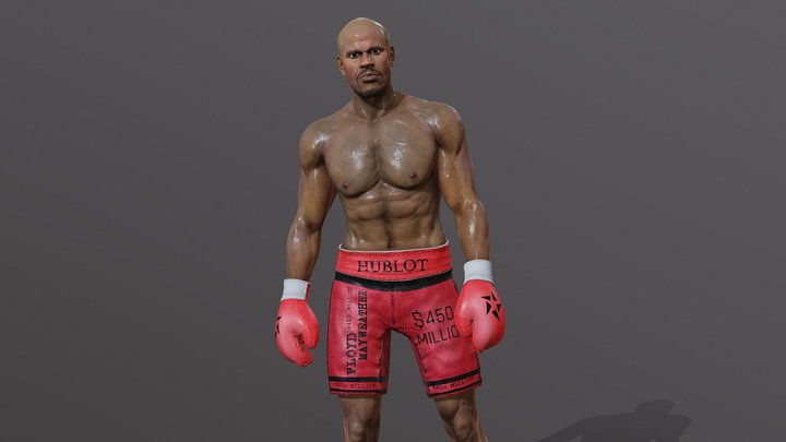 Boxer 3D models - Sketchfab