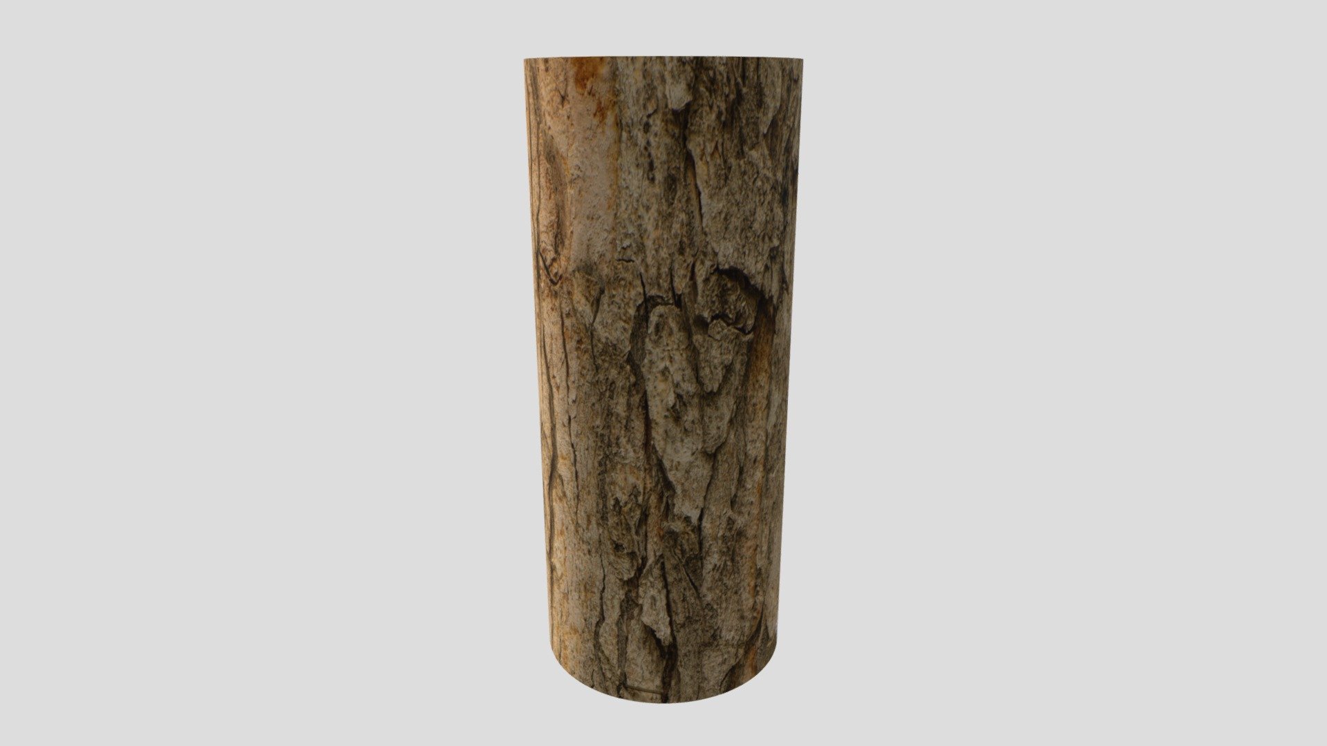 Realistic Tree Bark - Download Free 3D model by Saksham Jain ...
