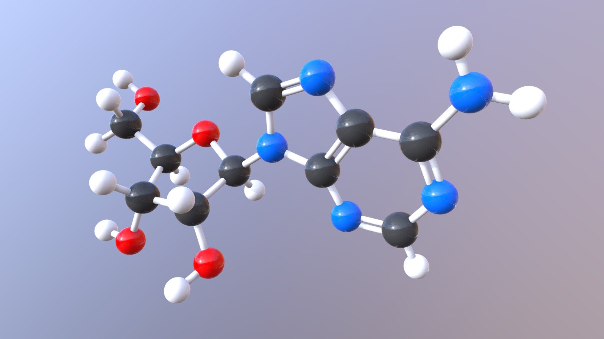 adenozin - 3D model by e-sfera (@skolskaknjiga) [f187440] - Sketchfab