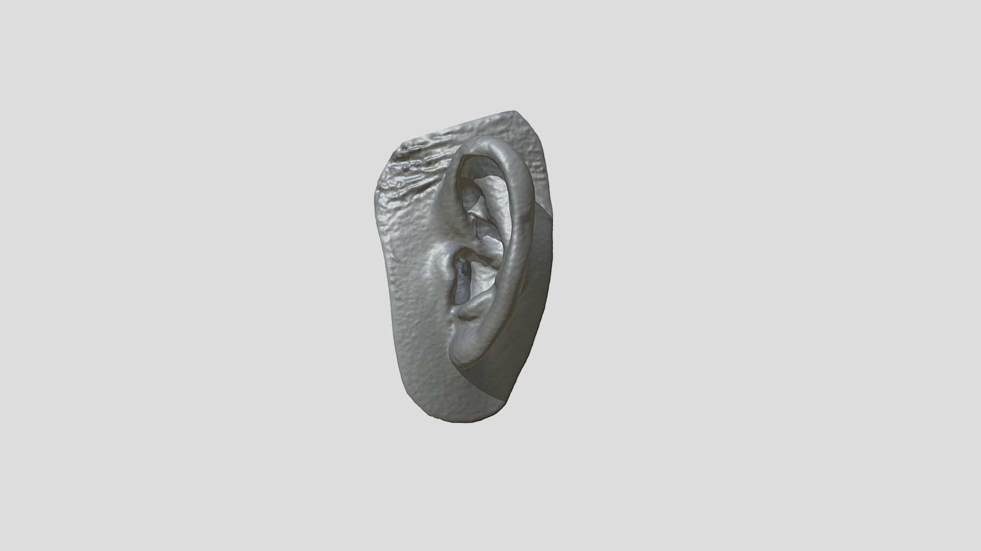 Ear - Download Free 3D model by 3DMakerpro [f18c7d4] - Sketchfab