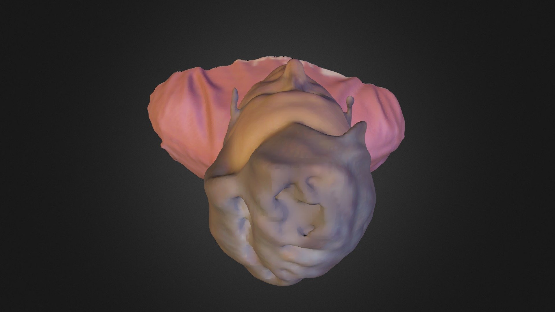 Taylor Murphy 07 - 3D model by windowsgadgetshow [f19407c] - Sketchfab