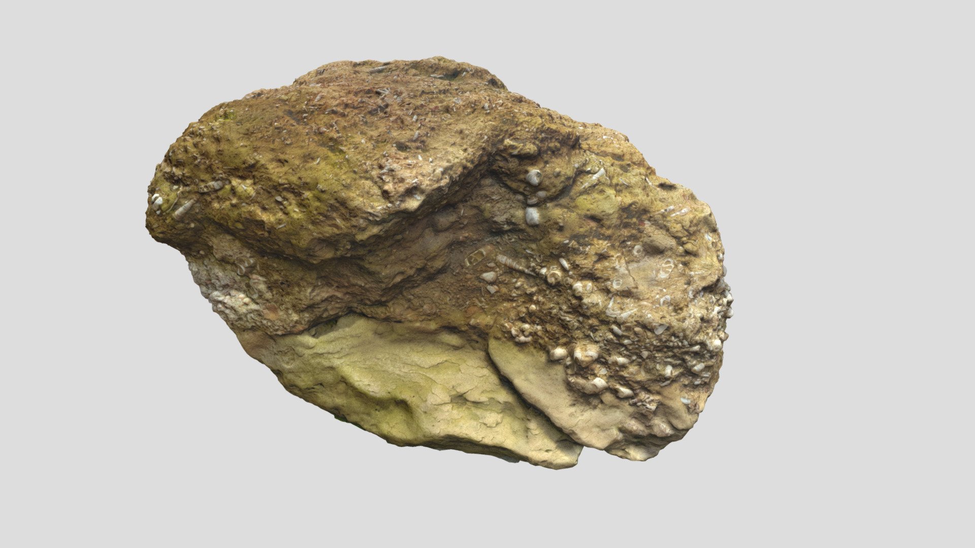 Otago Geology - Mounted rock in Quadrangle - 6 - Download Free 3D model ...