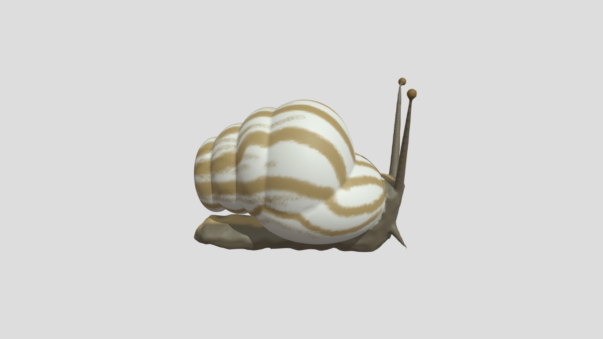 SNAIL - 3D model by renwc0869 [f1a4899] - Sketchfab