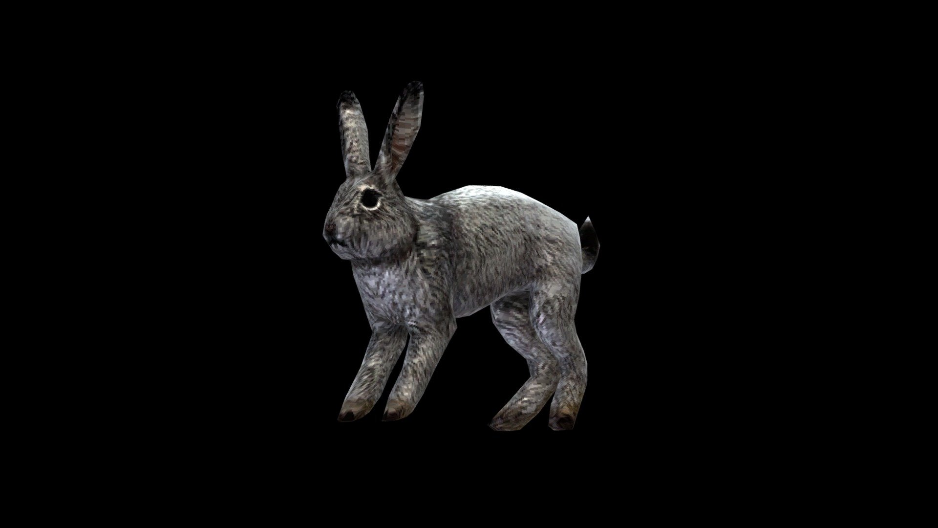 Rabbit - Download Free 3D model by U.A.C.WAD (@hilalarican23) [f1ac5fa ...