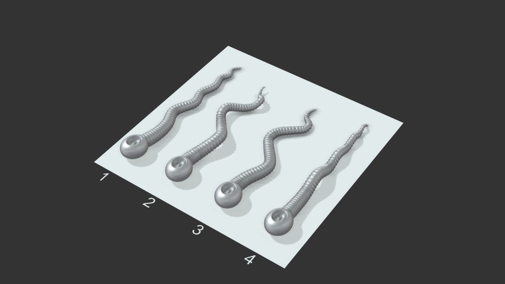 201710 Worm B - 3D model by catfyn [f1b0a42] - Sketchfab