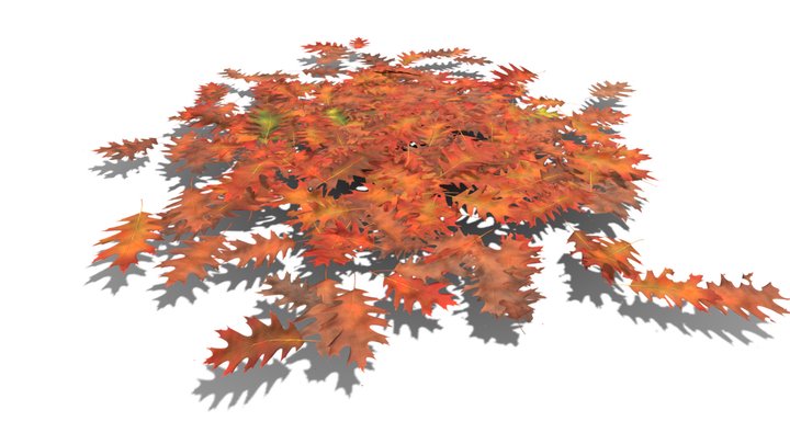 Broadleaf-tree 3D models - Sketchfab