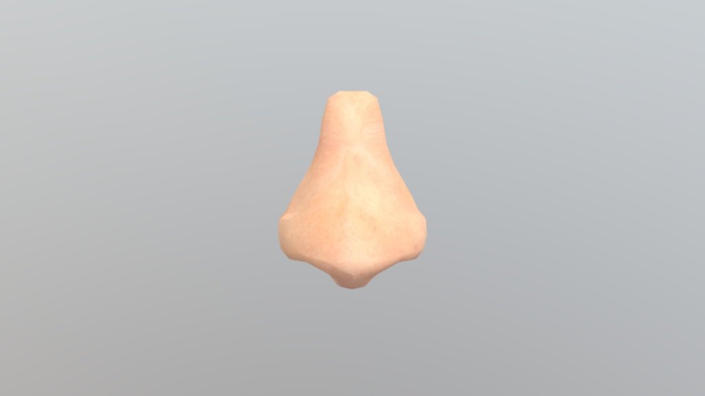 Nose - 3D model by ACSalazar [f1b4abd] - Sketchfab