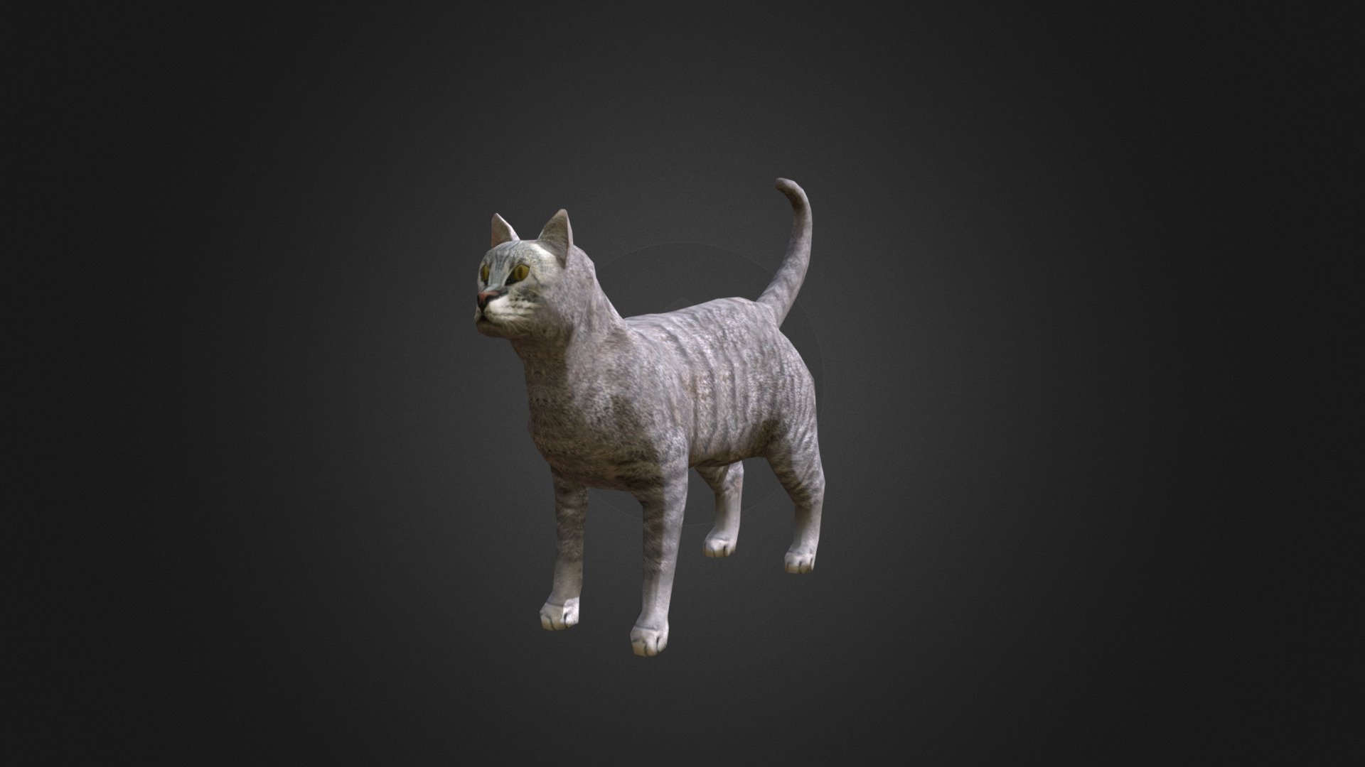 Grey Cat - Download Free 3D model by Gert-Jan van den Boom (@alphafluff ...