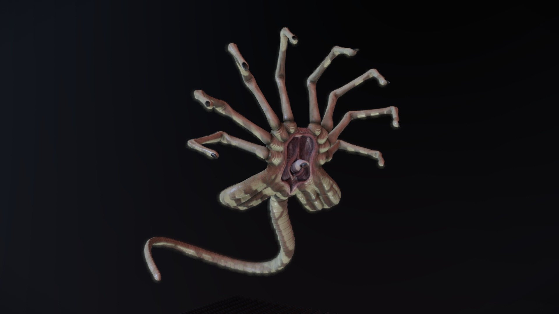 Face Hugger - 3D model by MentalElemental [f1ba8ee] - Sketchfab