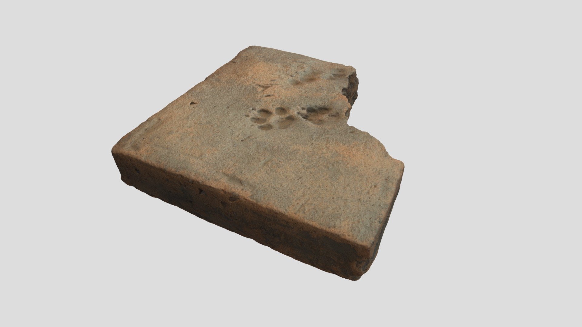 Dog Paw - 3D model by ursulackah [f1bc23c] - Sketchfab
