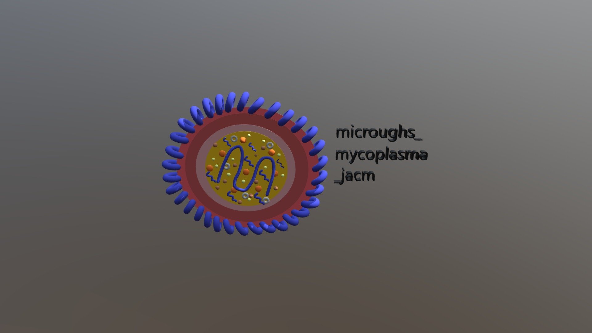 Mycoplasma(1) - 3D model by jarroyo1000 [f1c4461] - Sketchfab