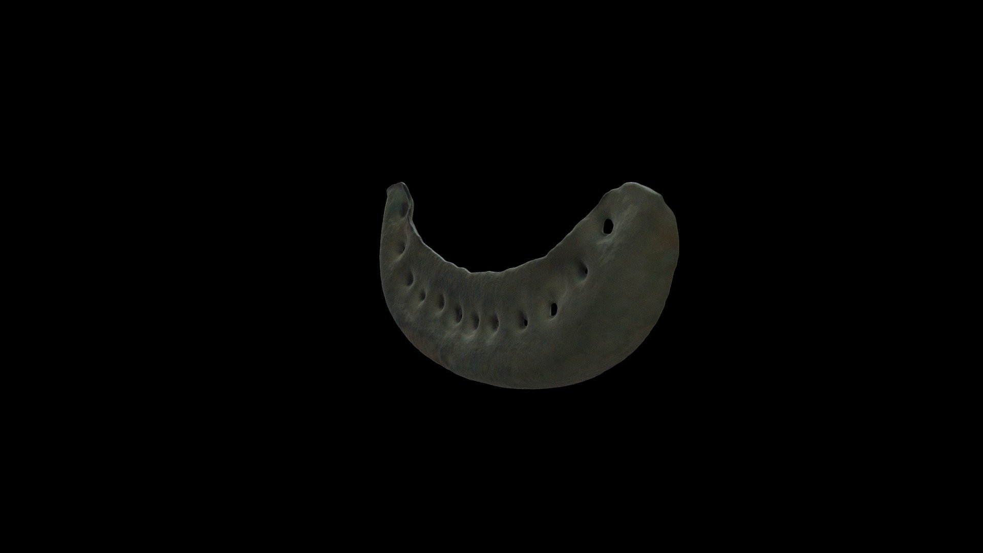 Shoe Plate - 3D model by MDOTarchaeology [f1c5e52] - Sketchfab