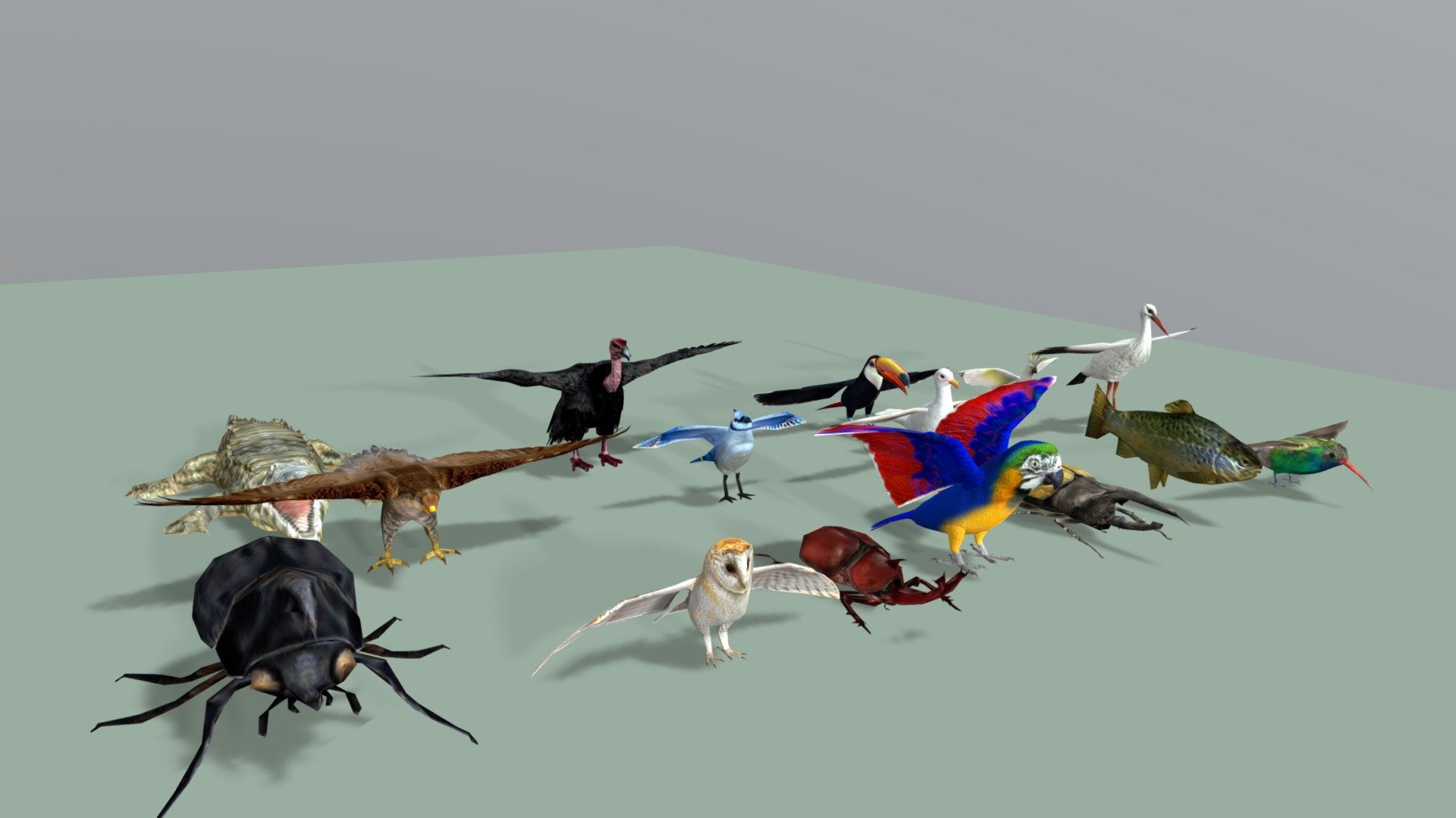 Animal Pack - Buy Royalty Free 3D model by infinity3d (@ayoubatigui33) [f1d1649] - Sketchfab Store