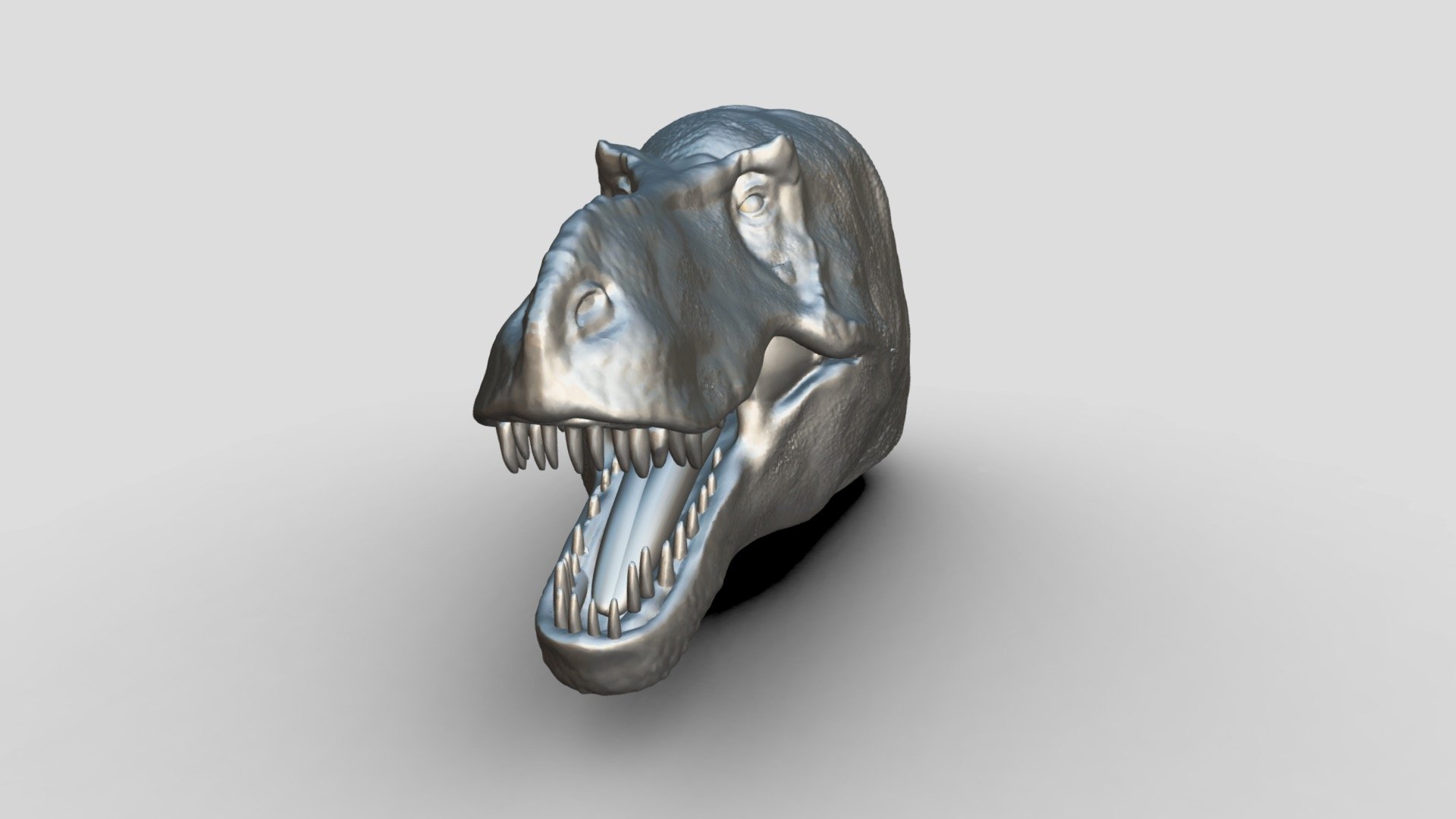 T rex head - 3D model by ALFERNANDEZ [f1d19db] - Sketchfab