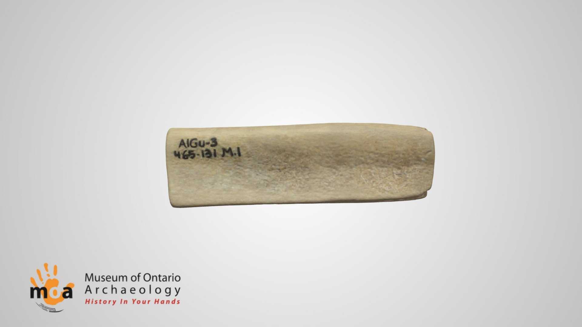 Bone Bead - Murphy-Goulding Site Object 435-131 - 3D model by ...