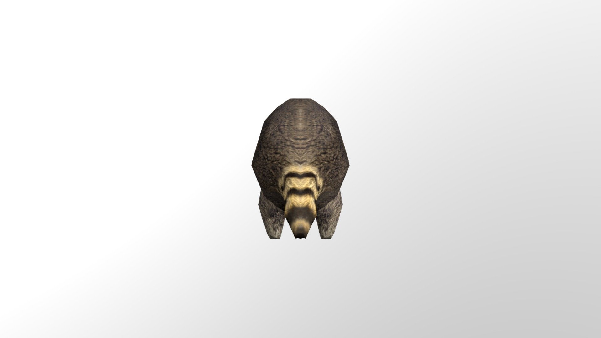 DAE - Low Poly Raccoon - Download Free 3D model by Wardergrip [f1d59df ...