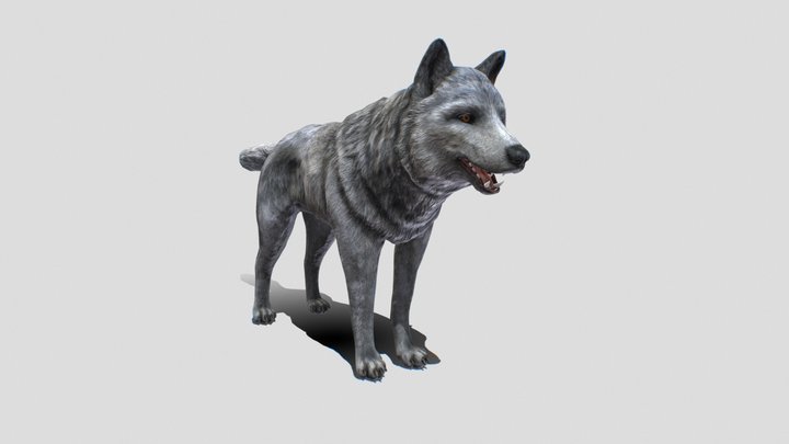 Wolves 3D models - Sketchfab