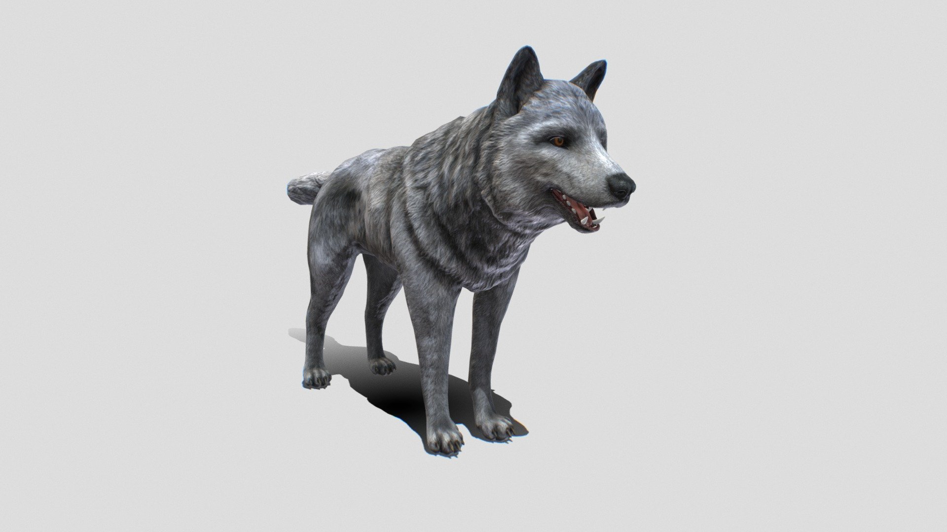 Wolf Low Poly - Buy Royalty Free 3D model by Pbr_Studio (@pbr.game ...