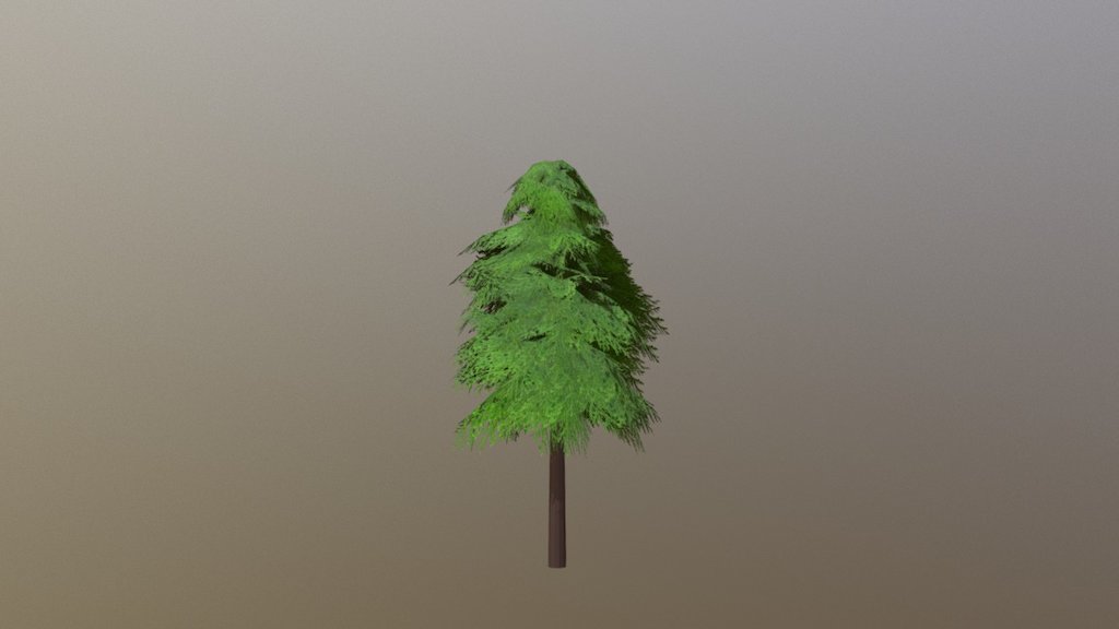 Fur Tree - Download Free 3D model by LuiMinoli [f1e03fb] - Sketchfab