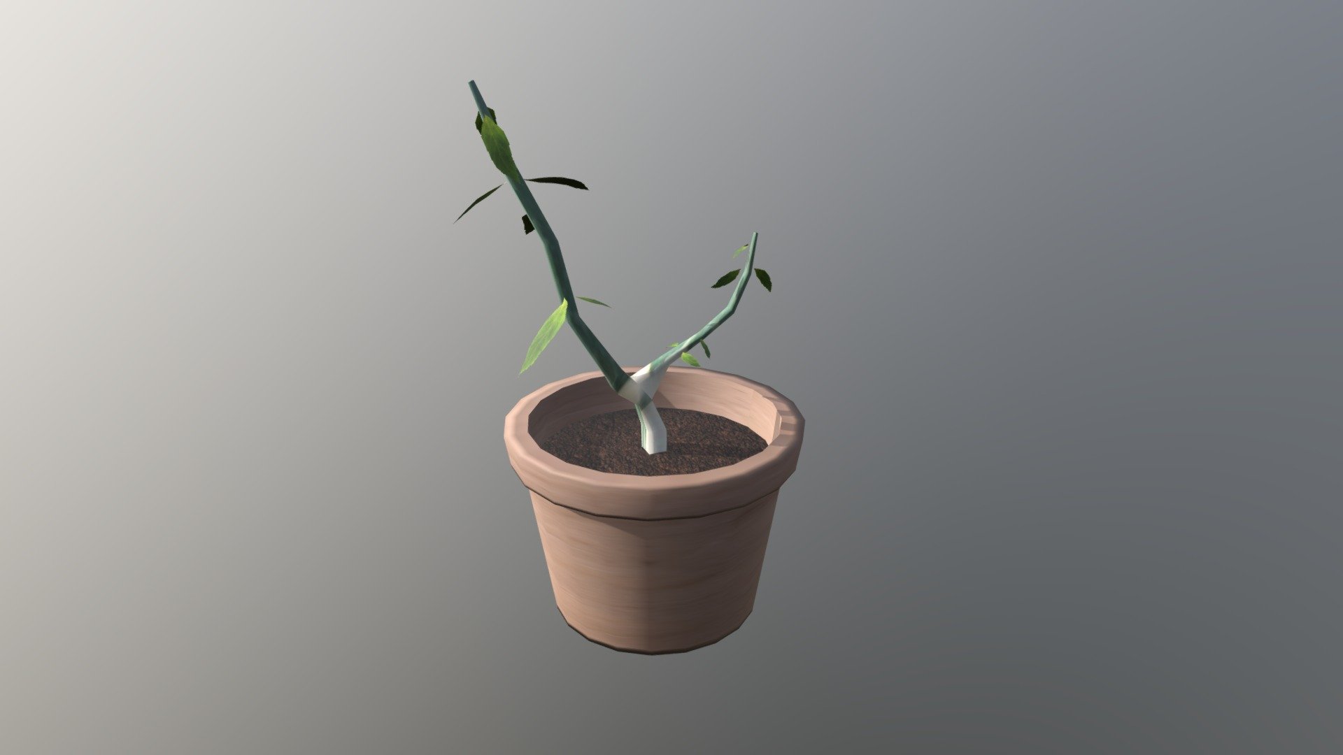 Week 8 Plant - Download Free 3D model by Kasie Stone (@kasiestone ...