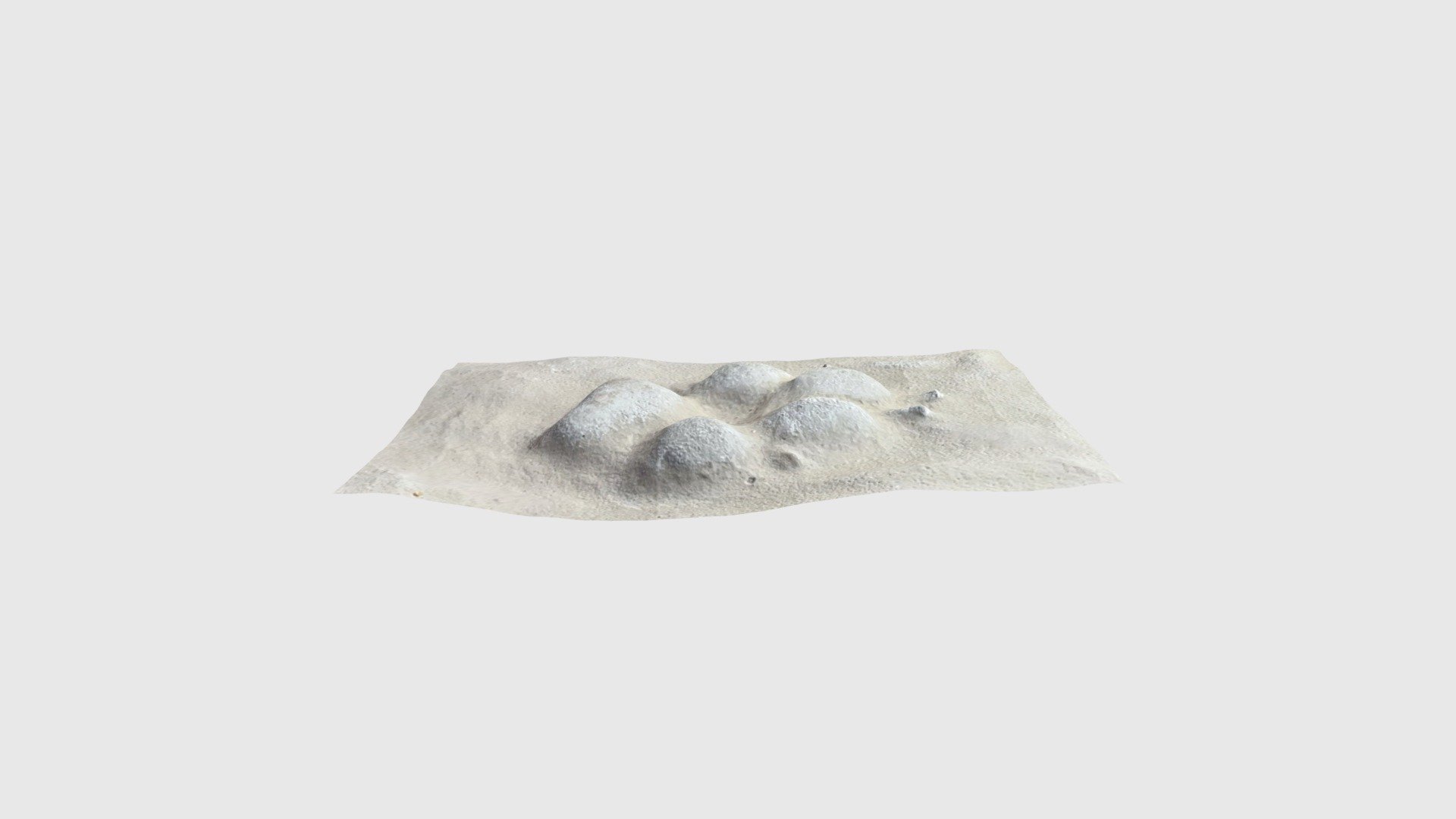 Dog paw - Download Free 3D model by orjan69 [f1ef130] - Sketchfab