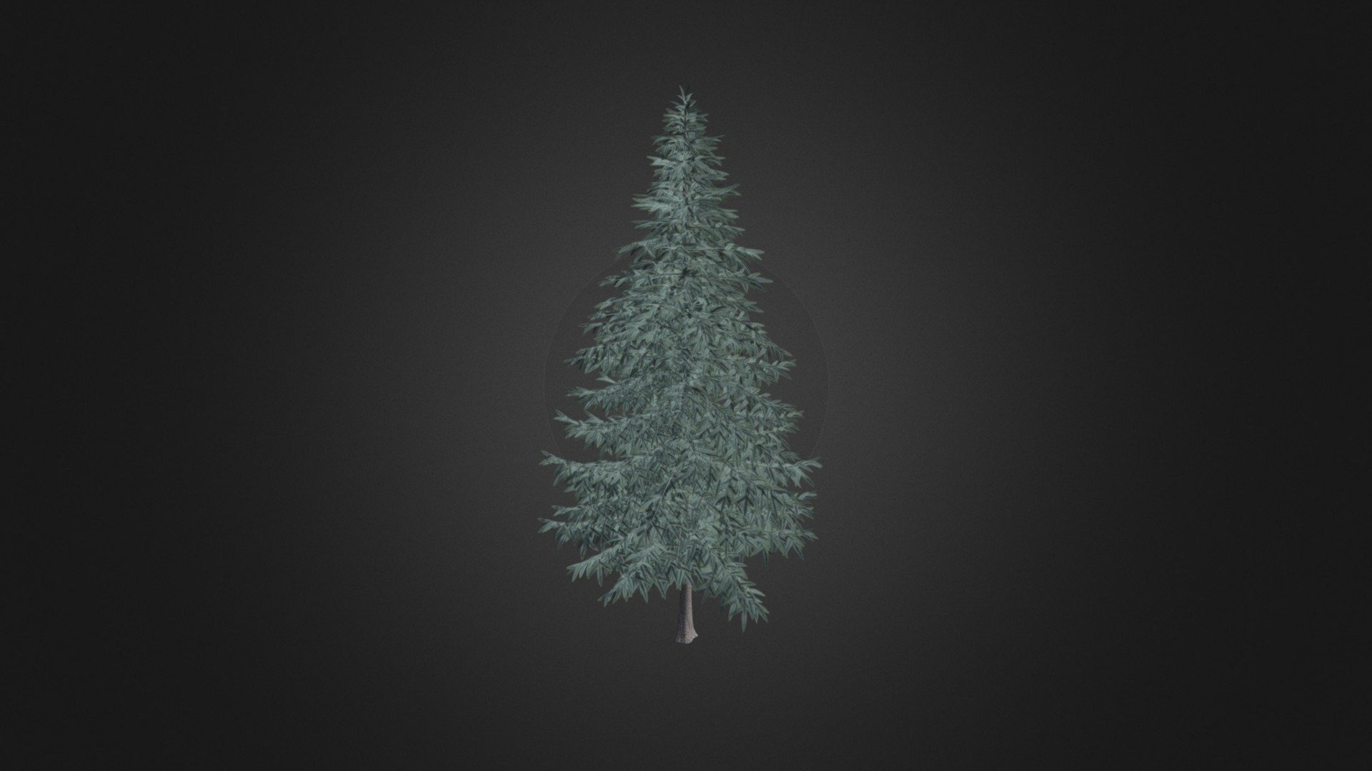 Spruce Tree 3D Model 7.8m - Buy Royalty Free 3D model by cgaxis ...
