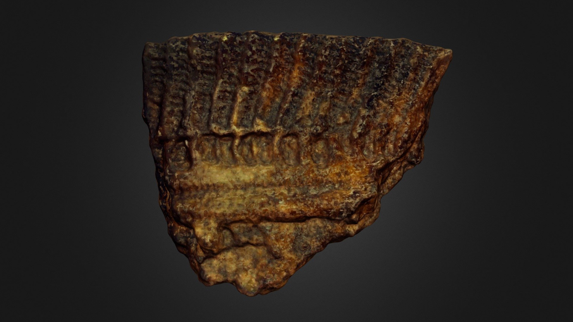 Late Woodland Rim - 3D model by Lakehead Anthropology ...