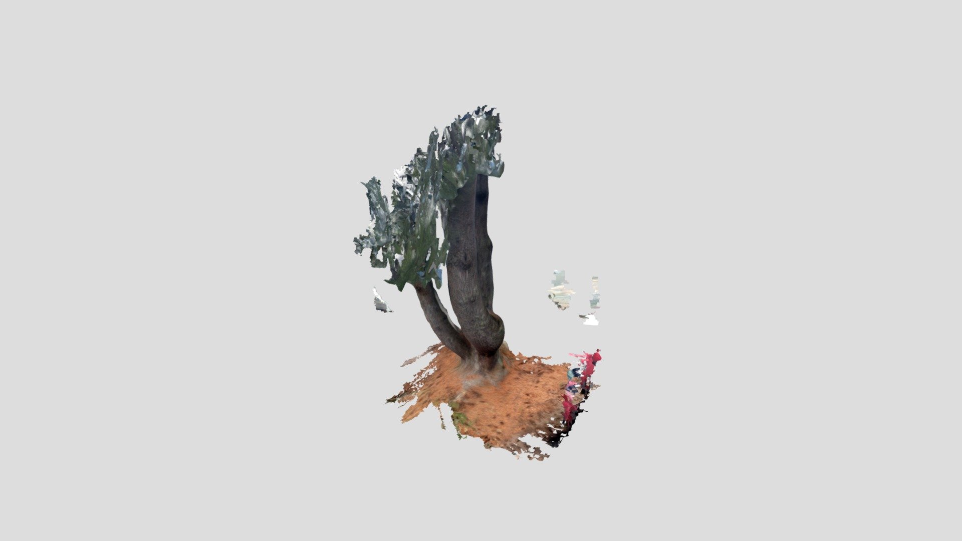 arbre - Download Free 3D model by charleshbl [f21037f] - Sketchfab
