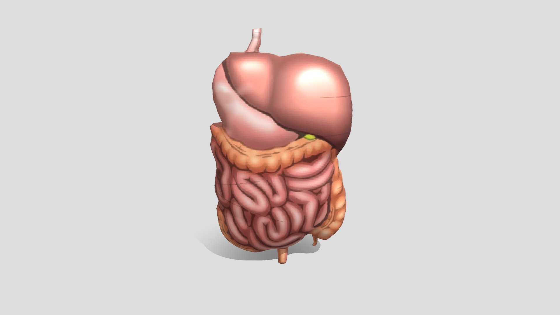 JEROHAN-3D MODEL - 3D model by muhammaddzaky [f2110ea] - Sketchfab