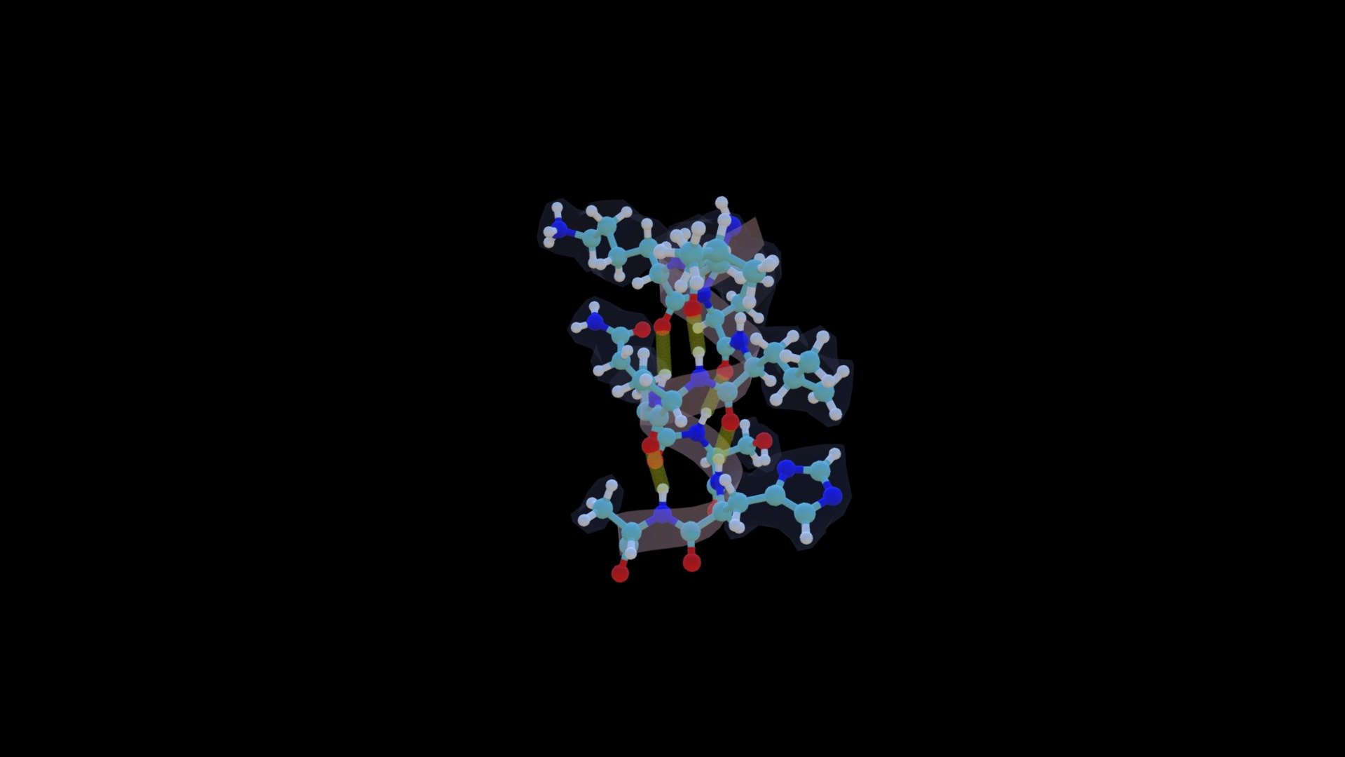 5) Alpha Helix - Model 5 - 3D model by gvsuchem (@gvsu-chem) [f21dd52 ...