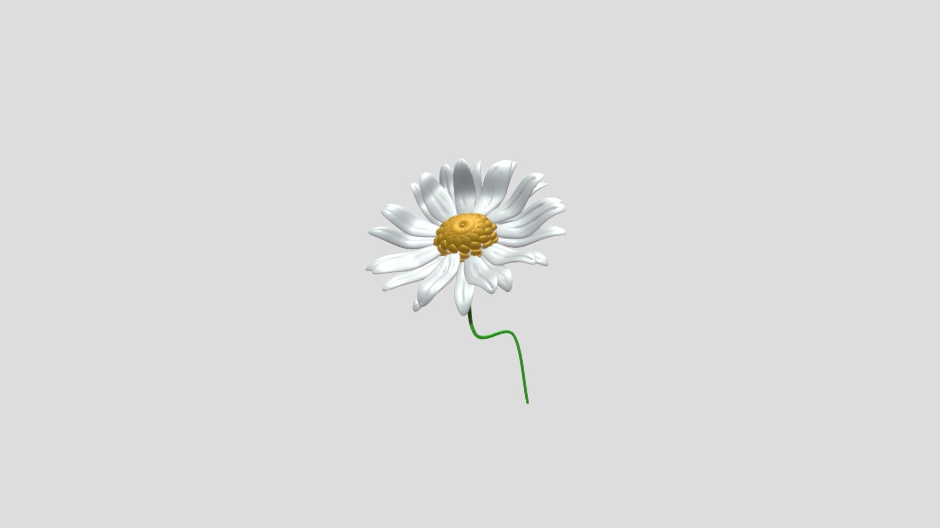 Daisy - Download Free 3D model by aya.fbx [f227c41] - Sketchfab