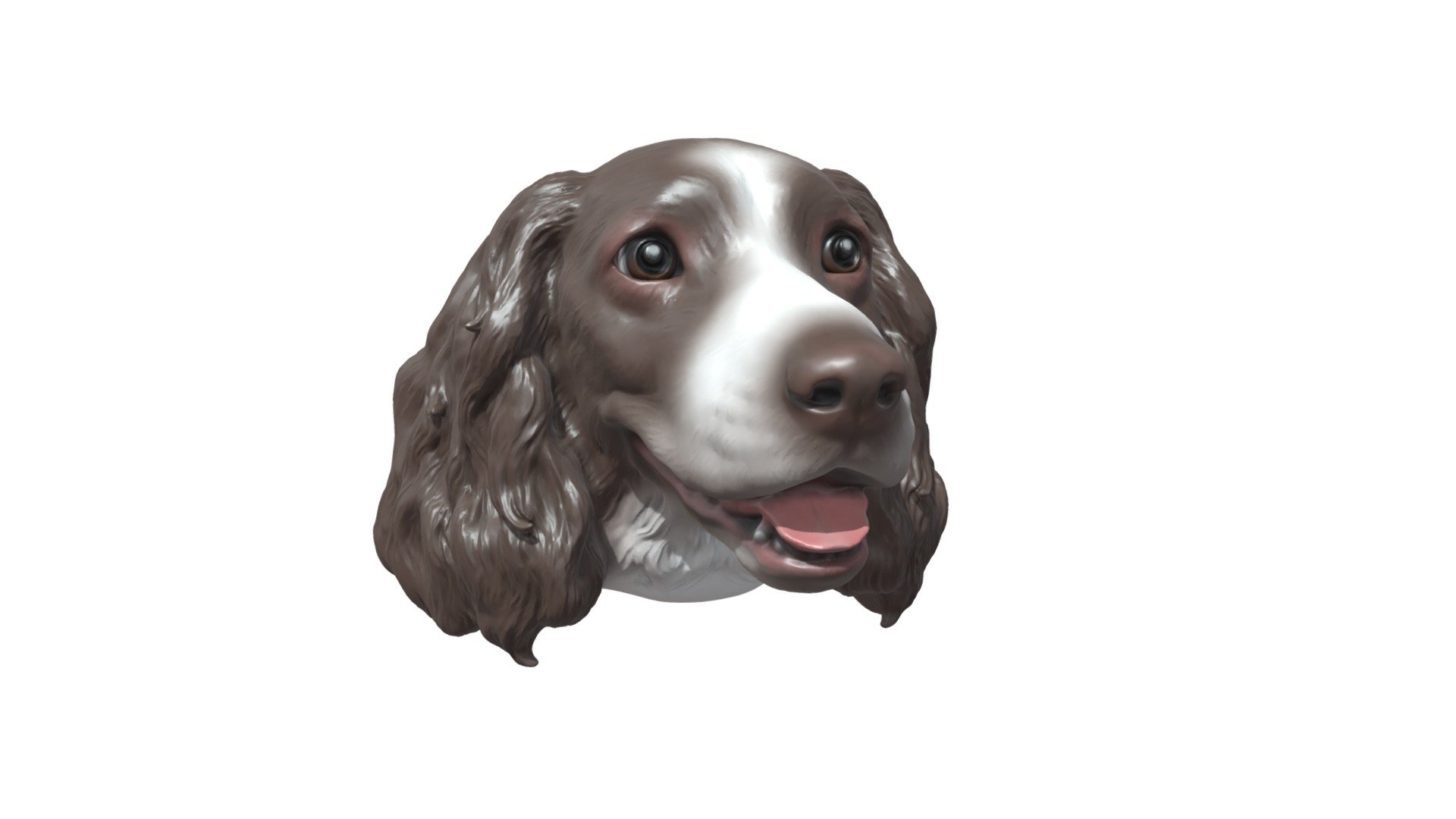 Springer Spaniel pet model - 3D model by Seed by mi (@seedbymi ...