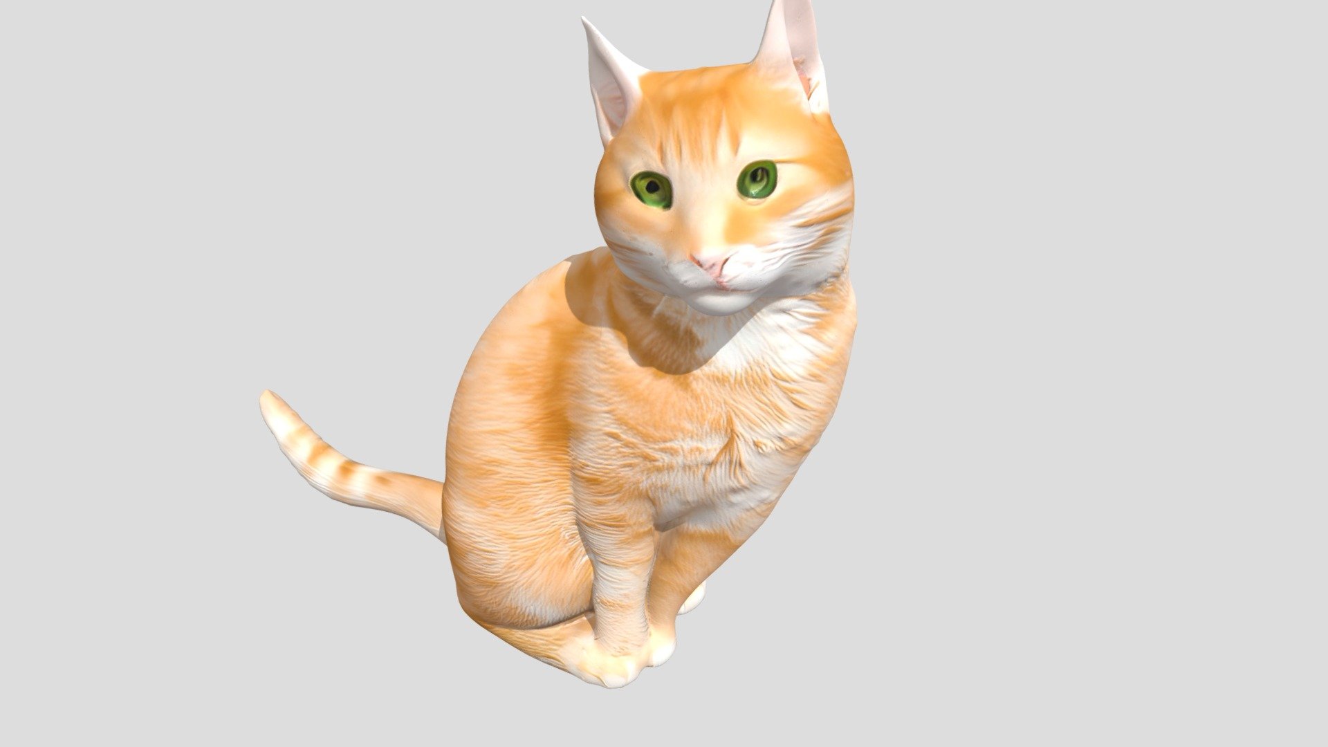 Orange tabby cat sitting pose - 3D model by metabank3d [f230e43 ...